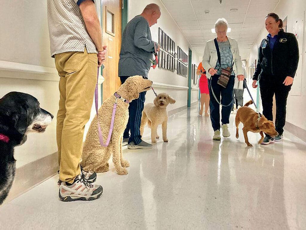 Auditions Test Dogs, Handlers For Therapy Program - HASDIC